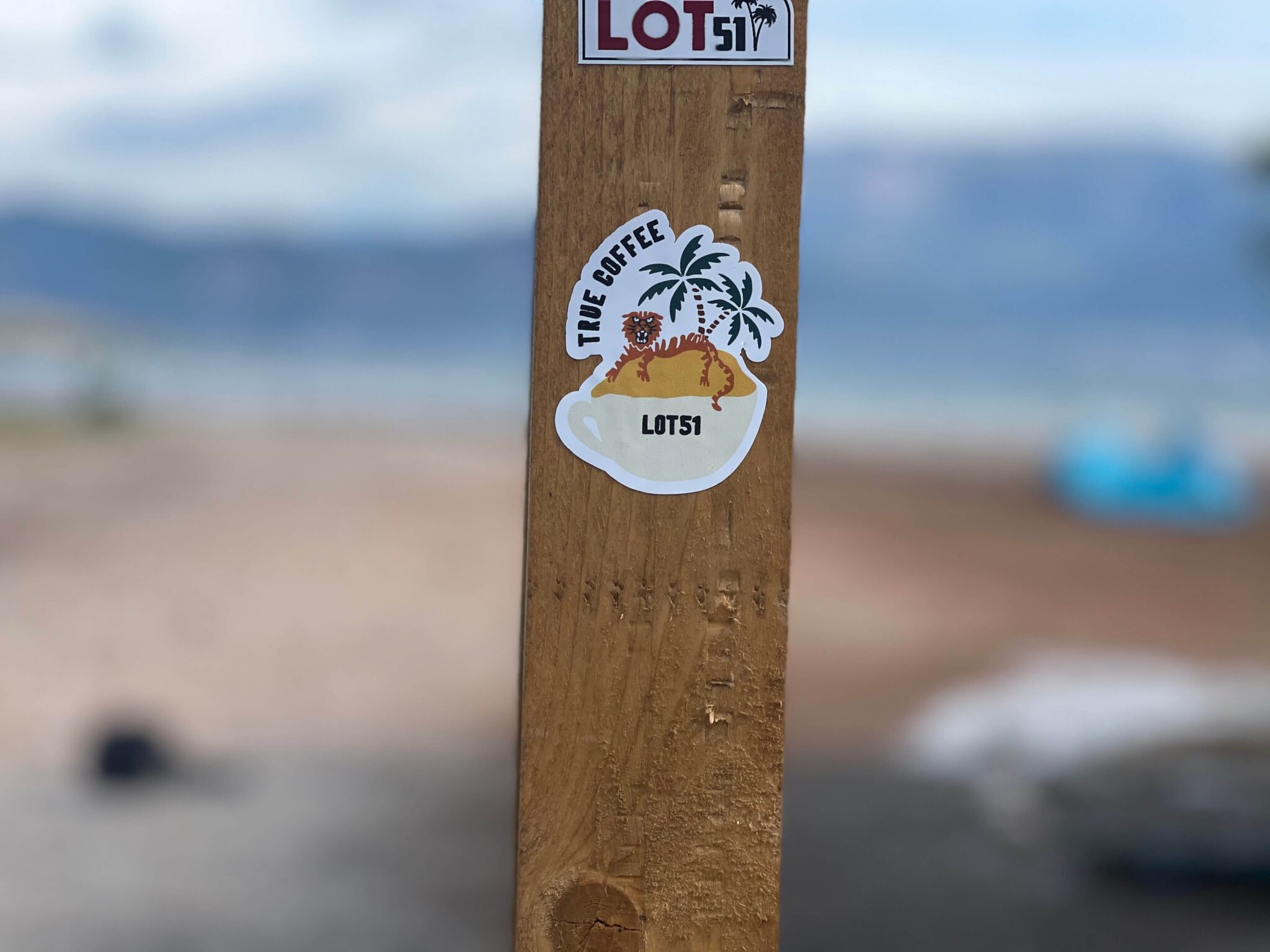 LOT51 - The Experience